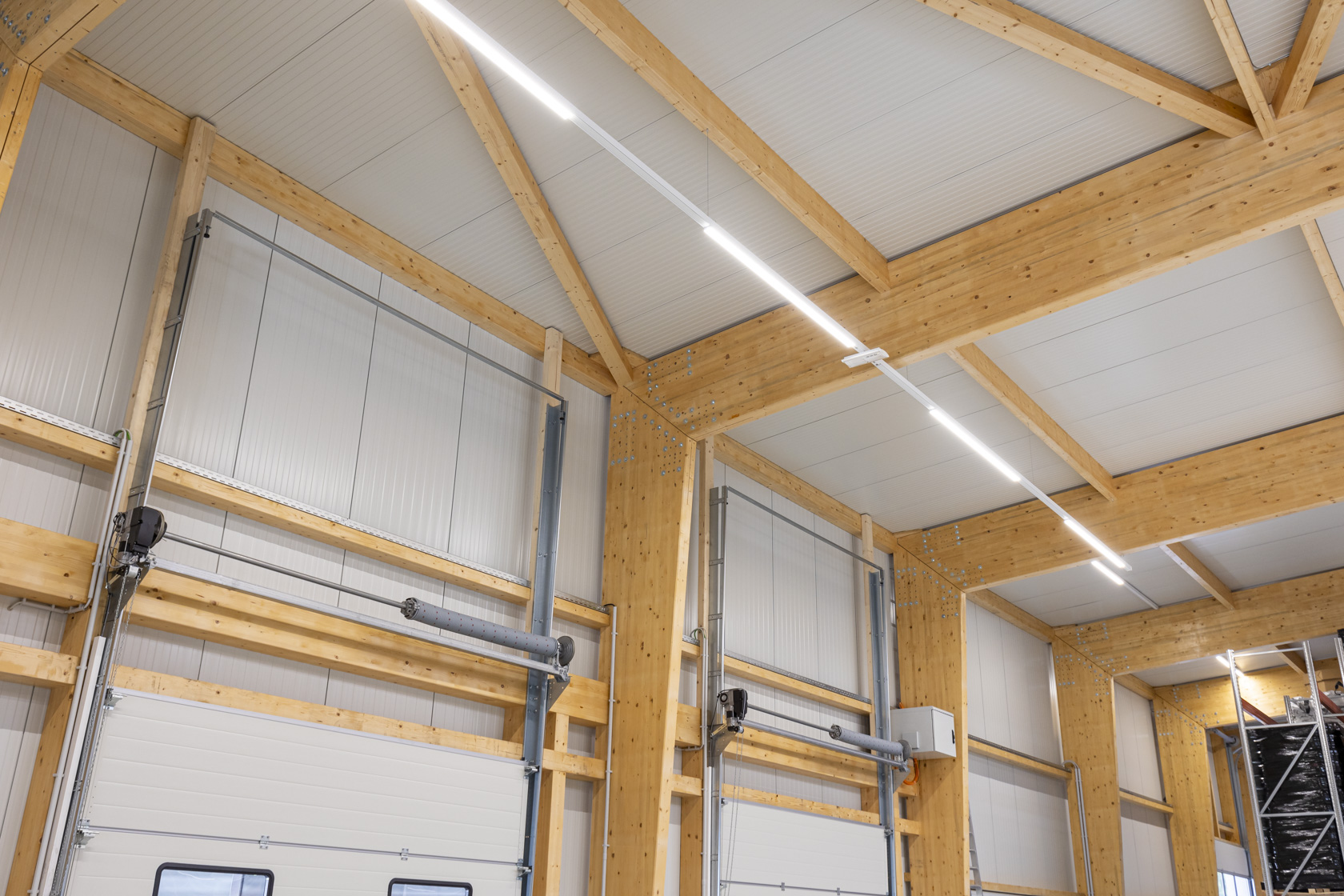 Thomé - Ligna Systems