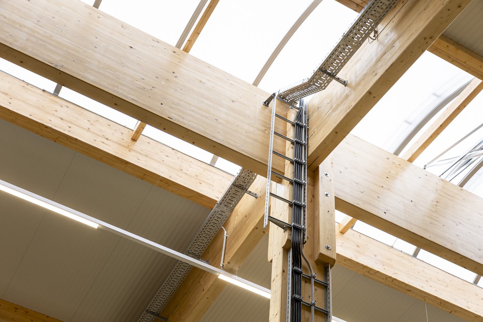 Thomé - Ligna Systems